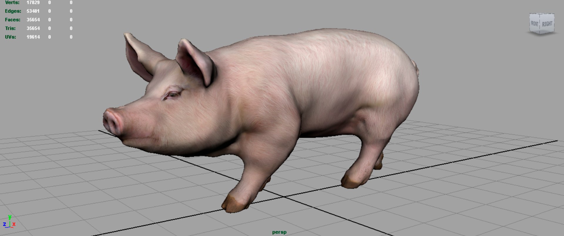 3D Pig Model - TurboSquid 1169231