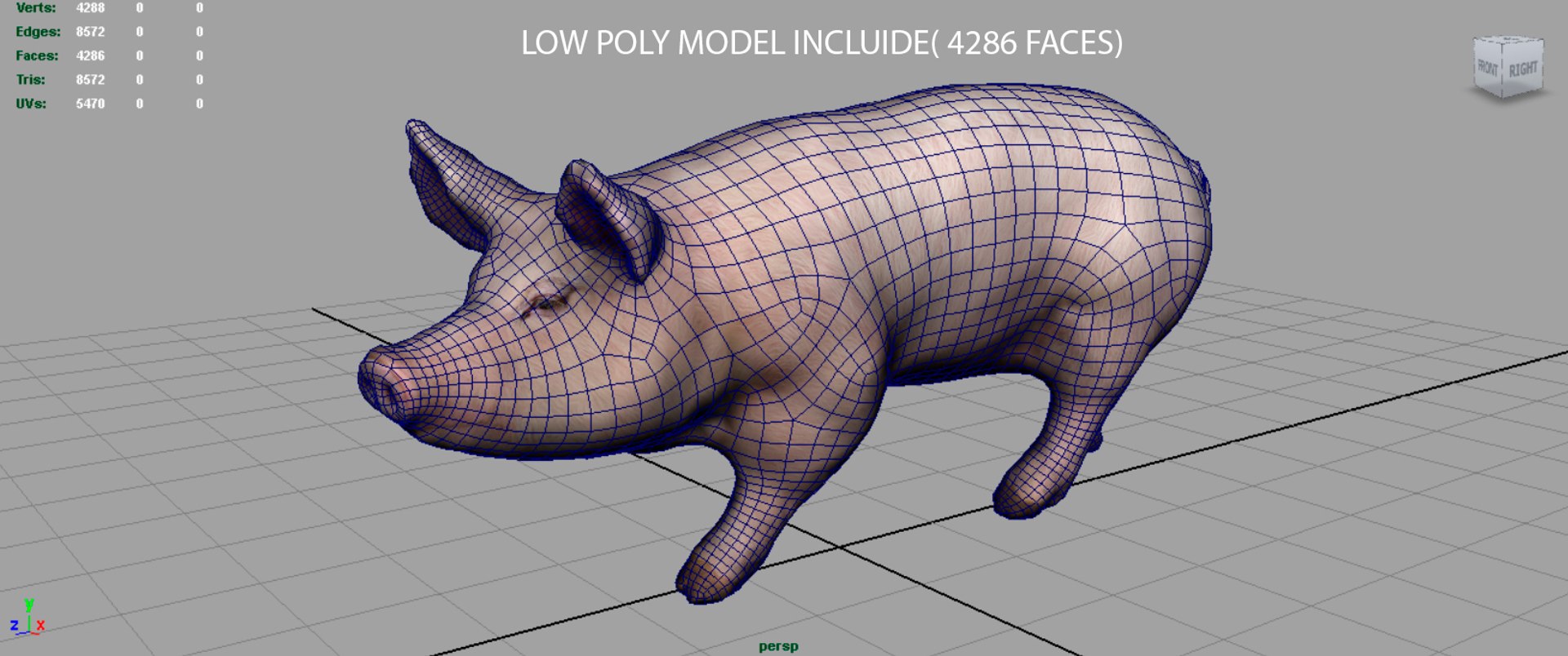 3D Pig Model - TurboSquid 1169231