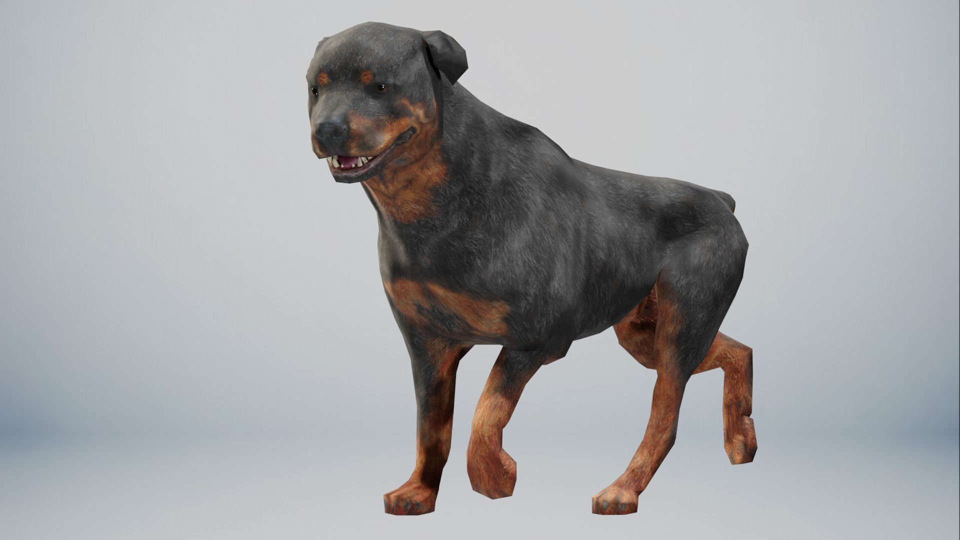 Rottweiler Animated 3D Model - TurboSquid 1870867