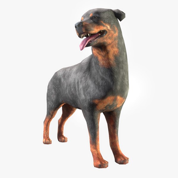 Rottweiler Animated 3D model - TurboSquid 1870867