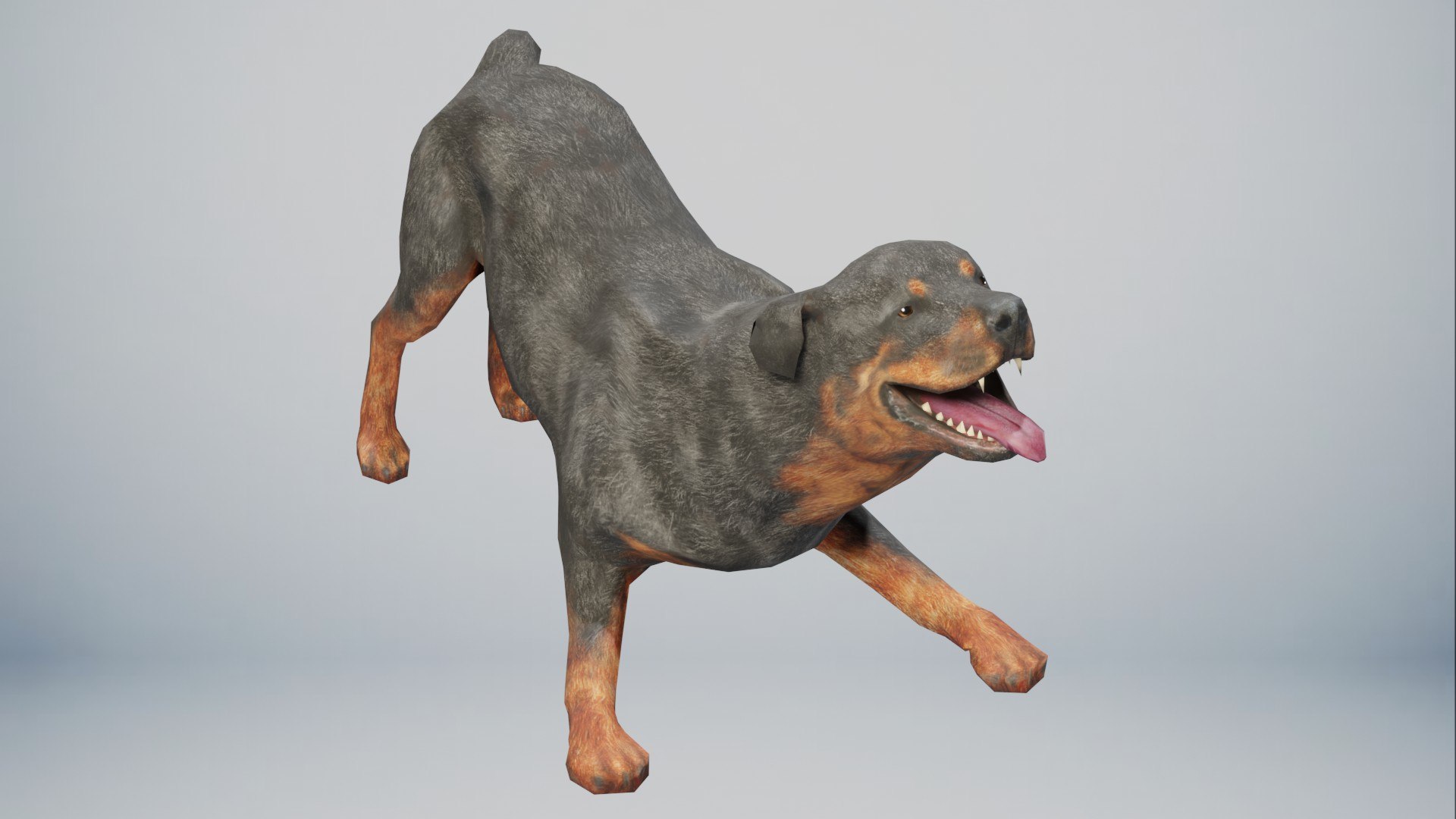 Rottweiler Animated 3D Model - TurboSquid 1870867