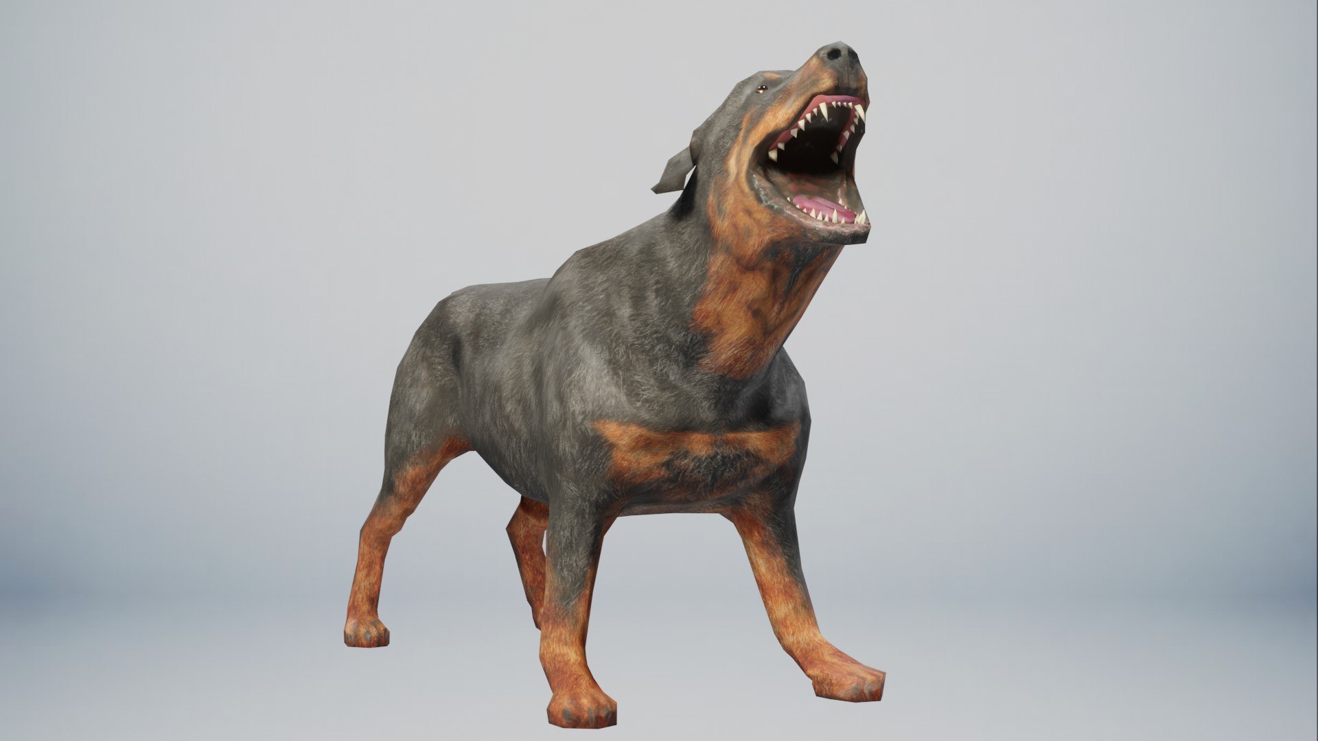 Rottweiler Animated 3D Model - TurboSquid 1870867