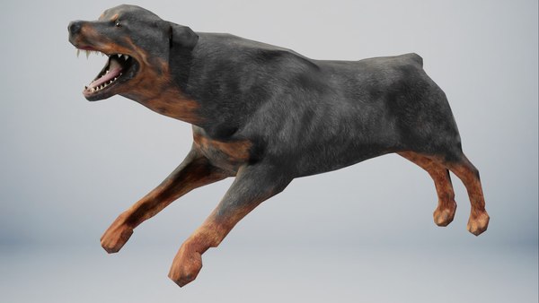 Rottweiler Animated 3D model - TurboSquid 1870867