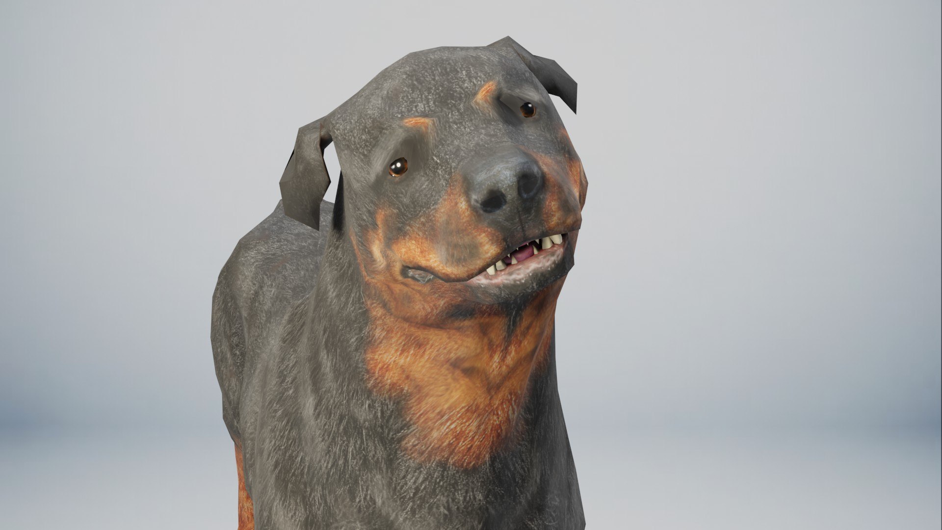 Rottweiler Animated 3D Model - TurboSquid 1870867