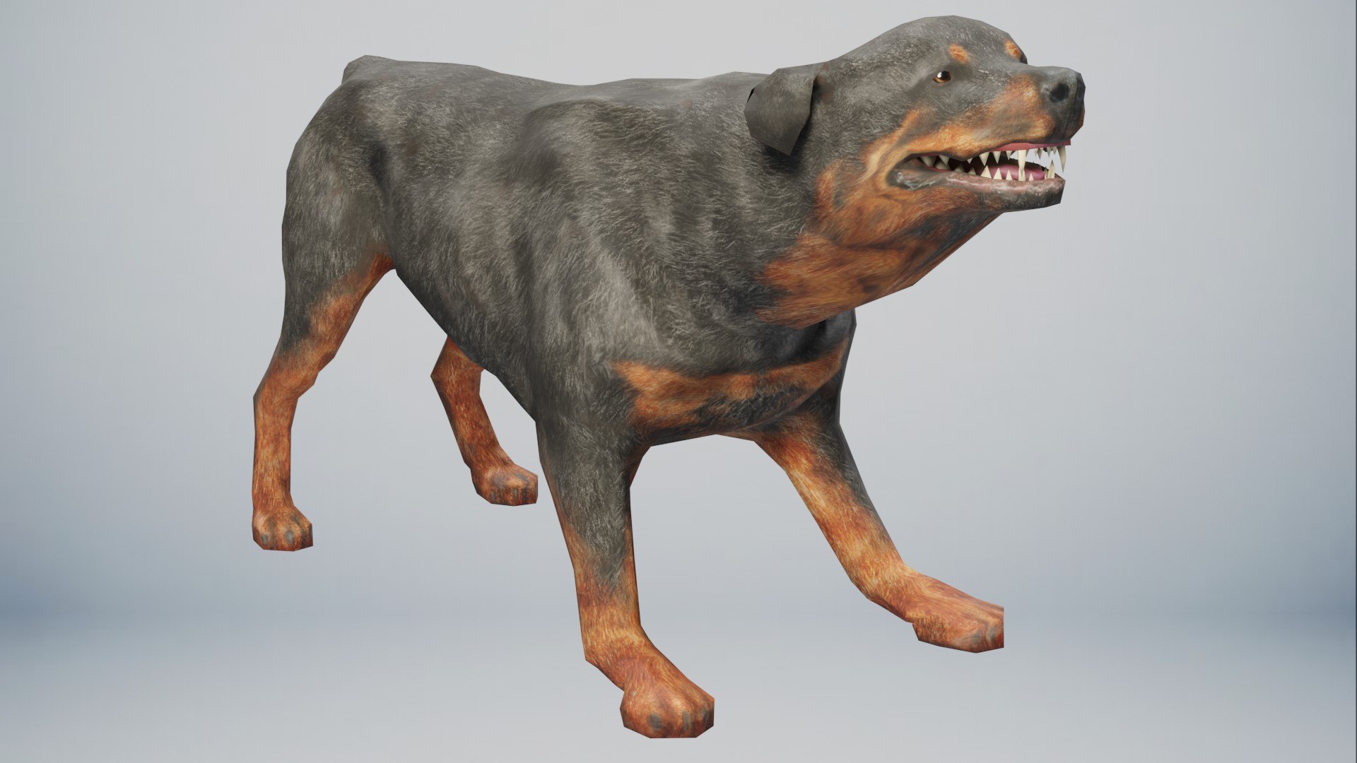 Rottweiler Animated 3D Model - TurboSquid 1870867