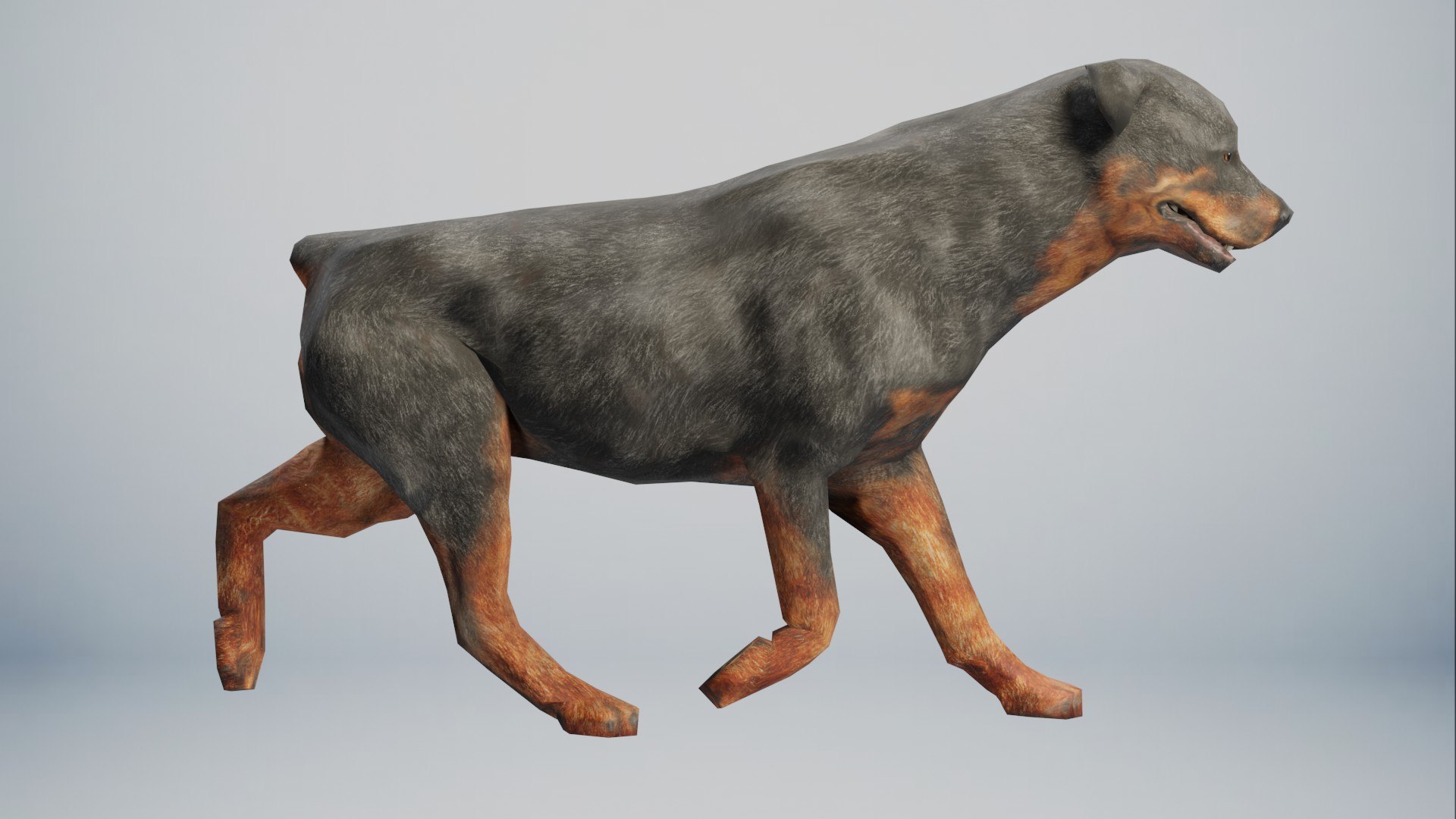 Rottweiler Animated 3D Model - TurboSquid 1870867