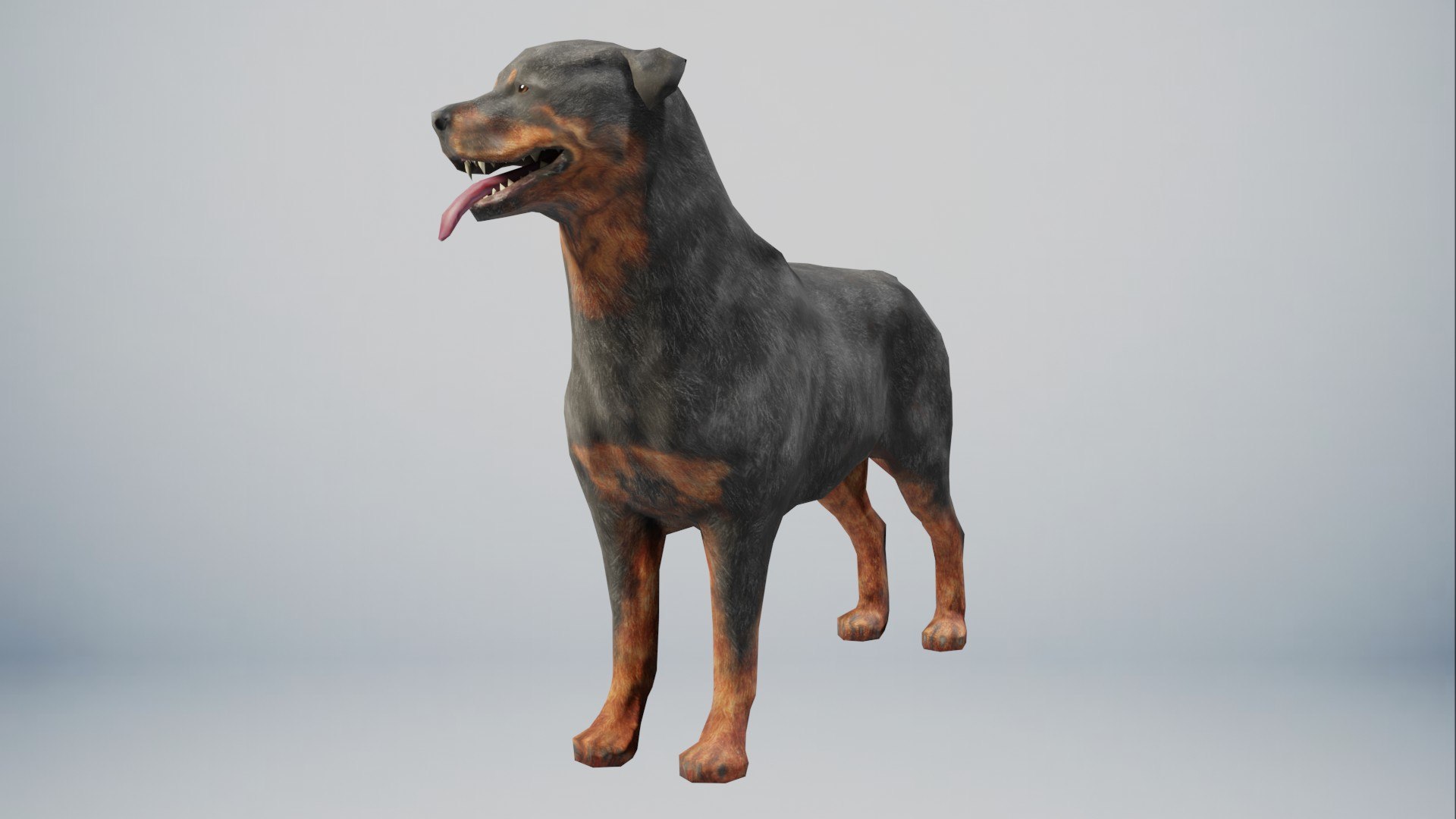 Rottweiler Animated 3D Model - TurboSquid 1870867