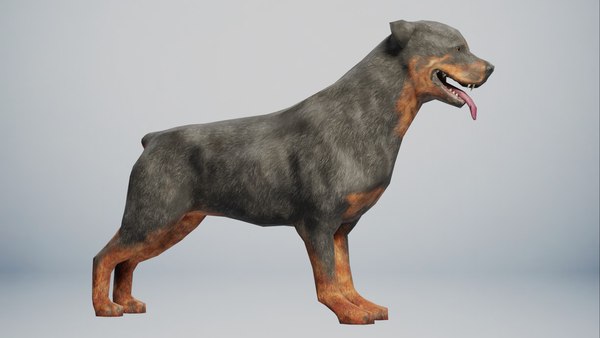 Rottweiler Animated 3D model - TurboSquid 1870867