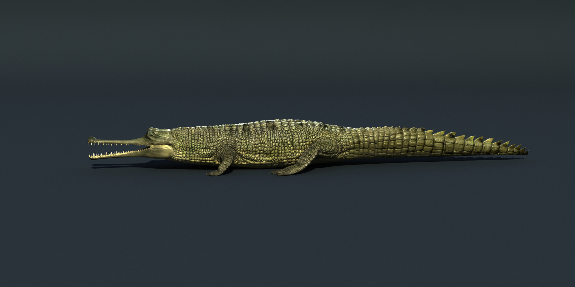 3d model gavial gavialis gangeticus
