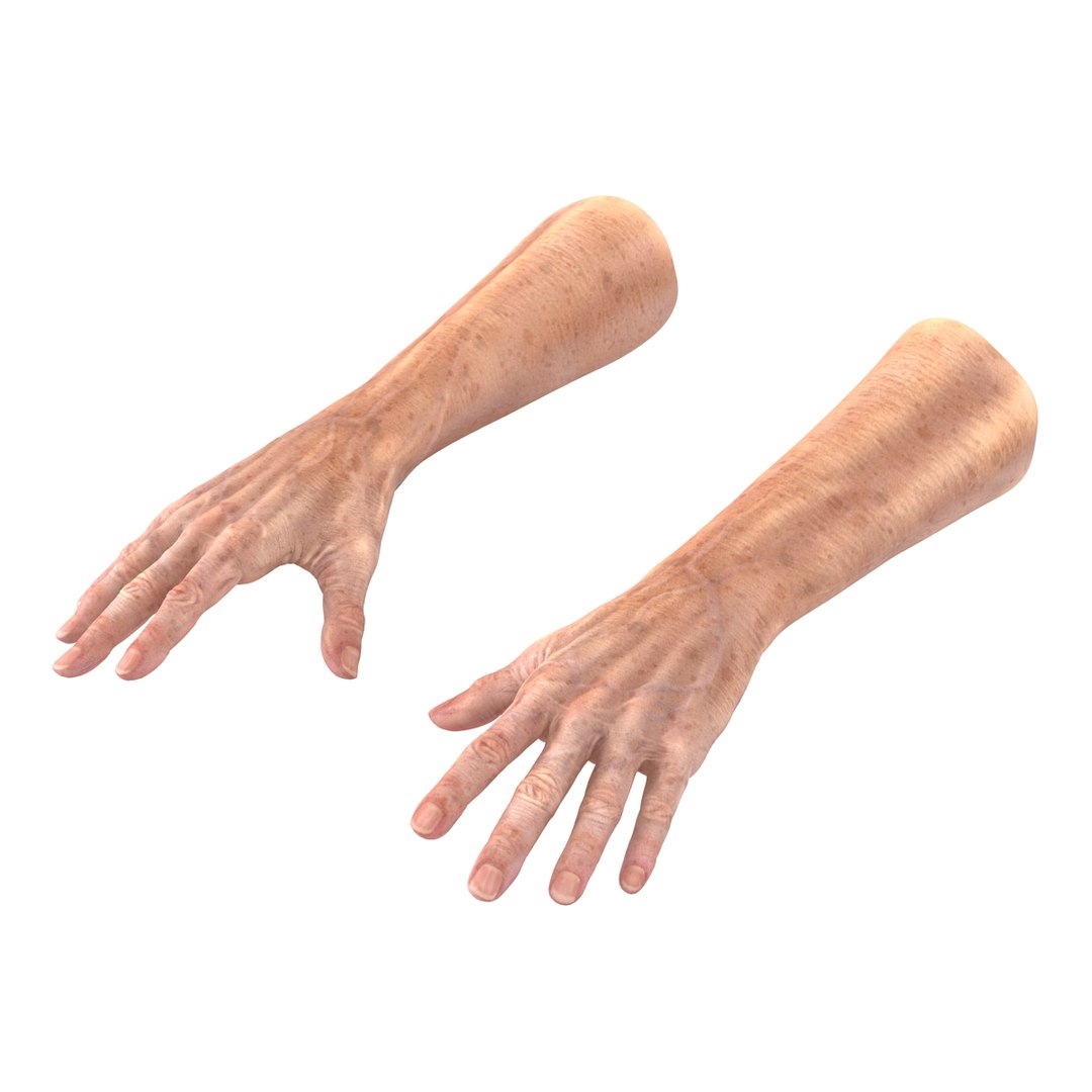 old man hands 3 3d model