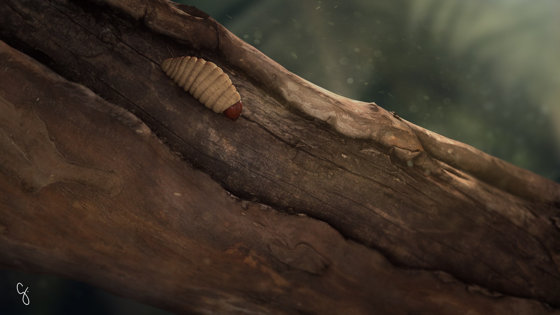 3D Model Red Palm Weevil Larvae - TurboSquid 1174216