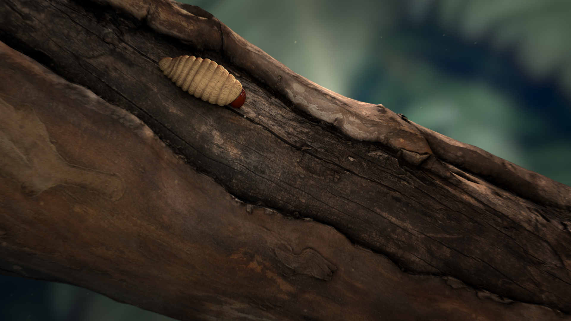 3D Model Red Palm Weevil Larvae - TurboSquid 1174216