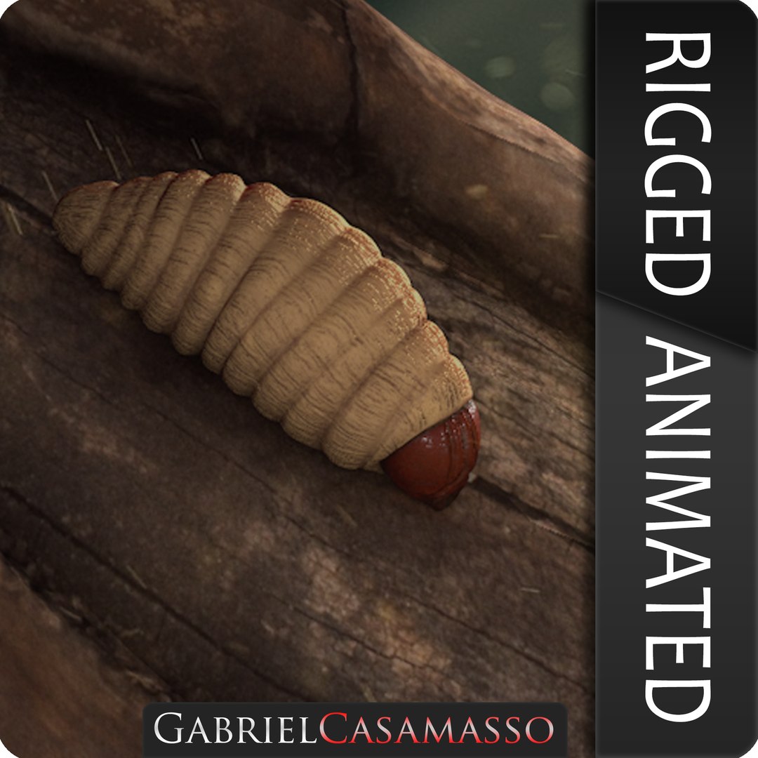 3D Model Red Palm Weevil Larvae - TurboSquid 1174216