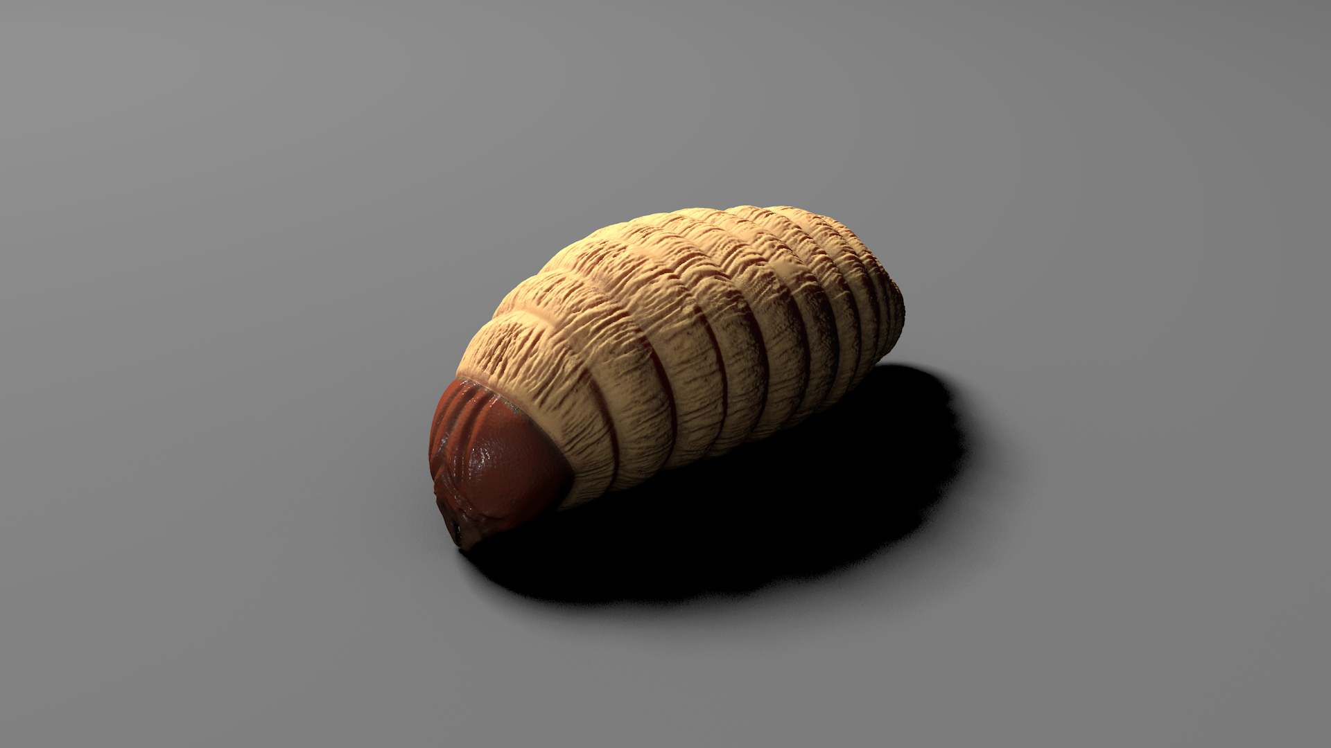 3D Model Red Palm Weevil Larvae - TurboSquid 1174216