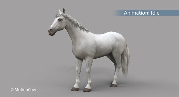 White horse animations 3D model - TurboSquid 1385853