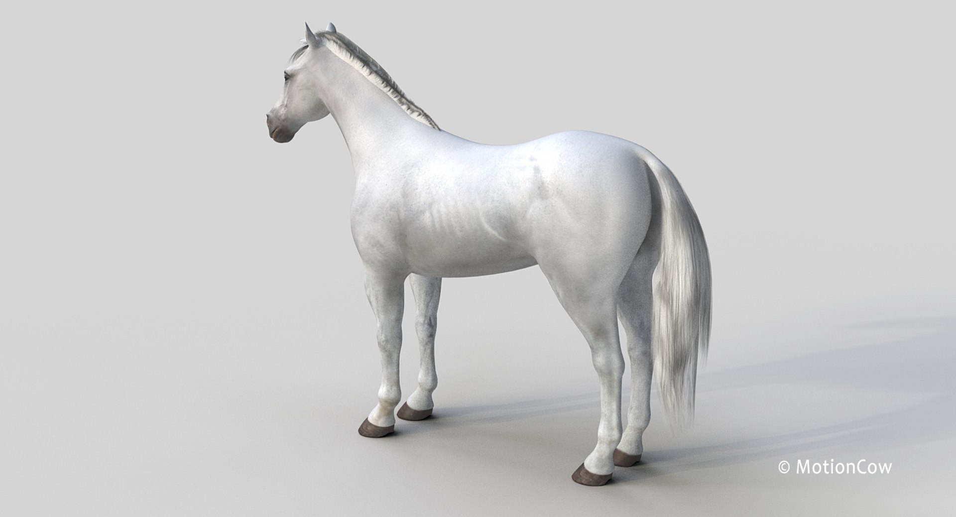 White horse animations 3D model - TurboSquid 1385853