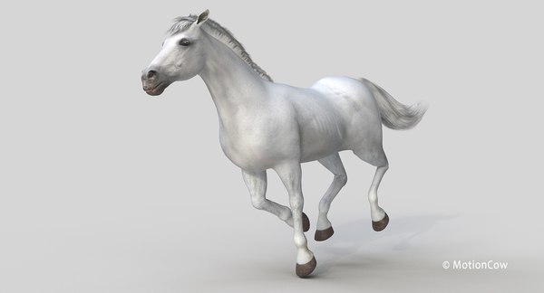 White horse animations 3D model - TurboSquid 1385853