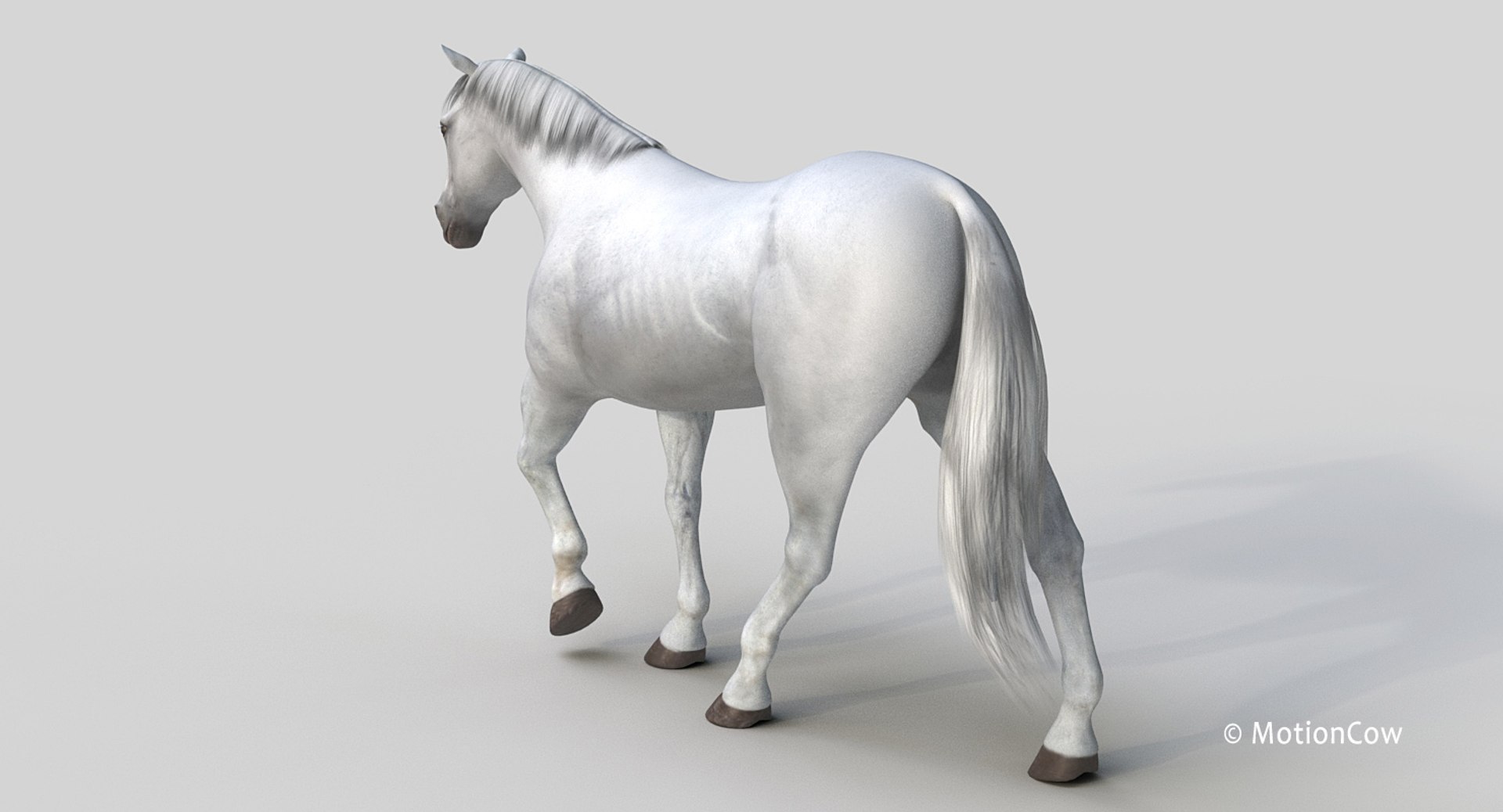 White Horse Animations 3D Model - TurboSquid 1385853