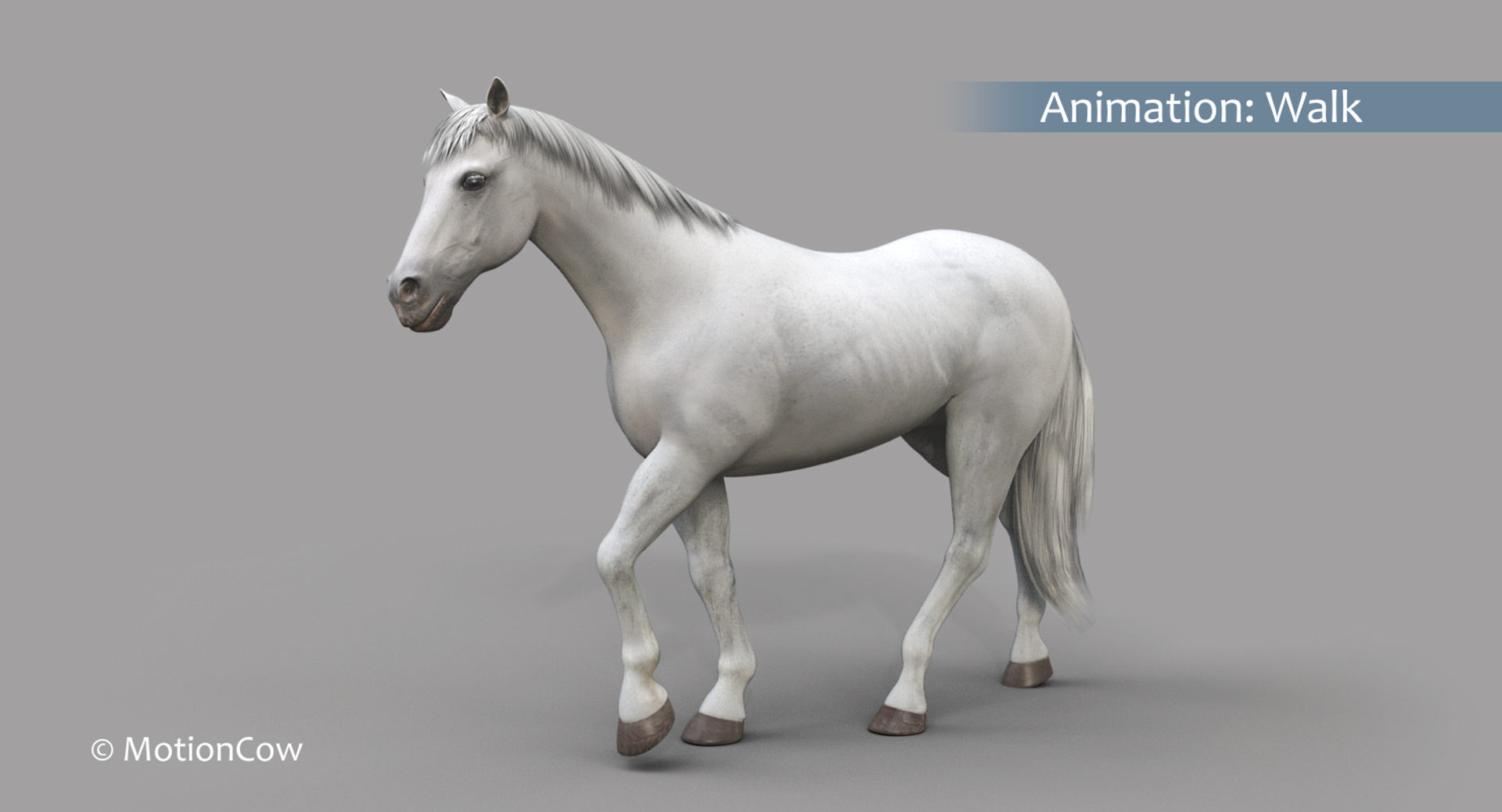 White horse animations 3D model - TurboSquid 1385853