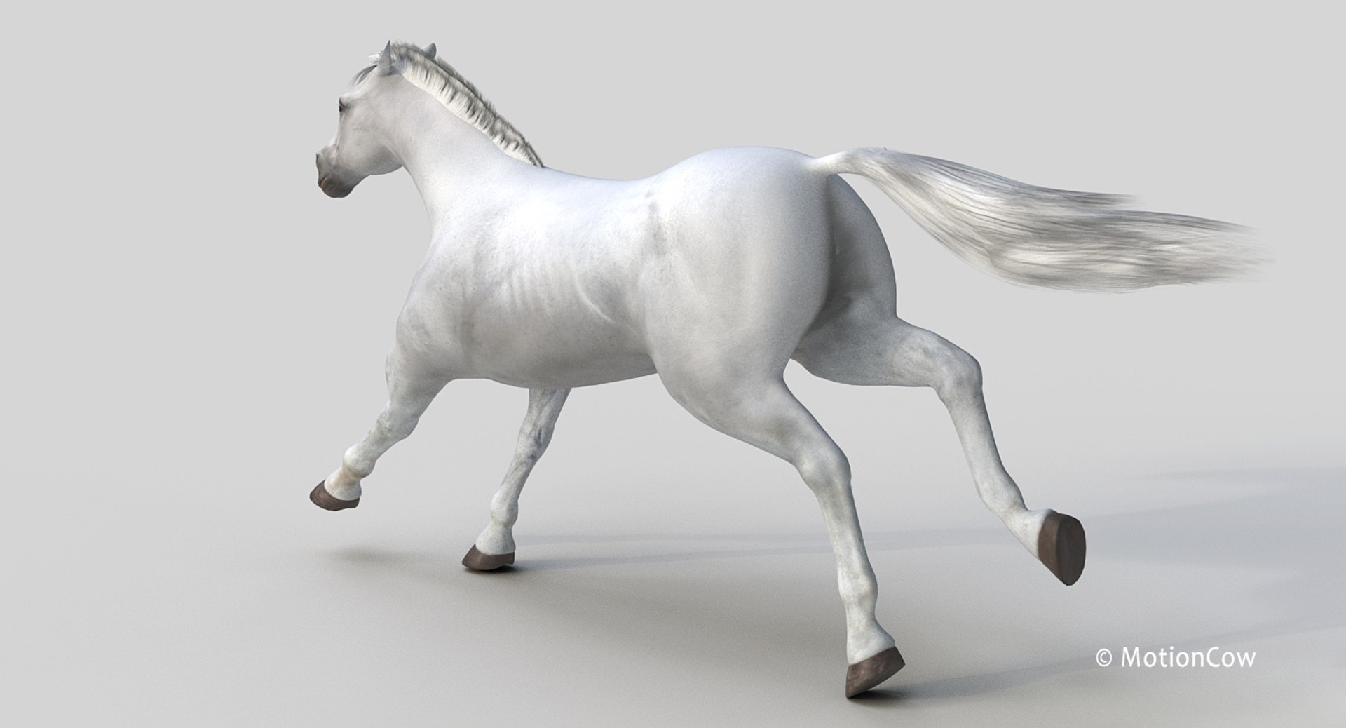White horse animations 3D model - TurboSquid 1385853