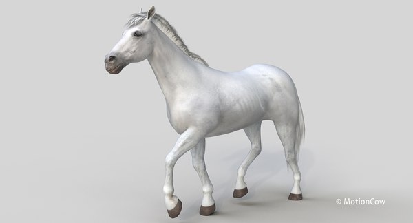 White horse animations 3D model - TurboSquid 1385853