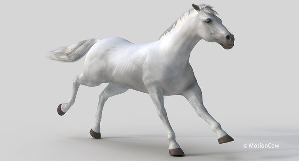 White horse animations 3D model - TurboSquid 1385853