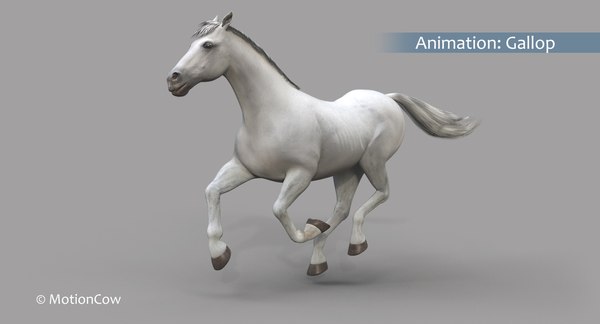 White horse animations 3D model - TurboSquid 1385853
