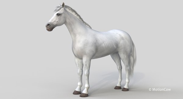 White horse animations 3D model - TurboSquid 1385853