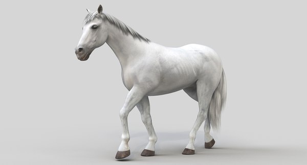 White horse animations 3D model - TurboSquid 1385853