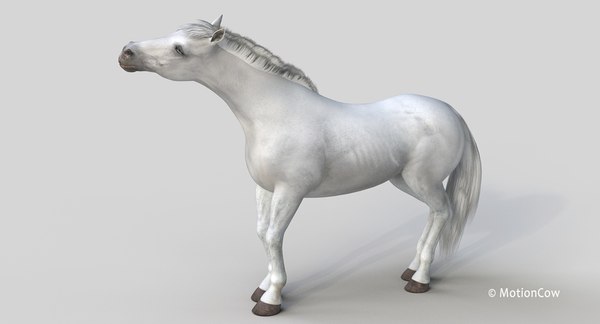 White horse animations 3D model - TurboSquid 1385853