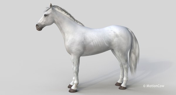 White horse animations 3D model - TurboSquid 1385853