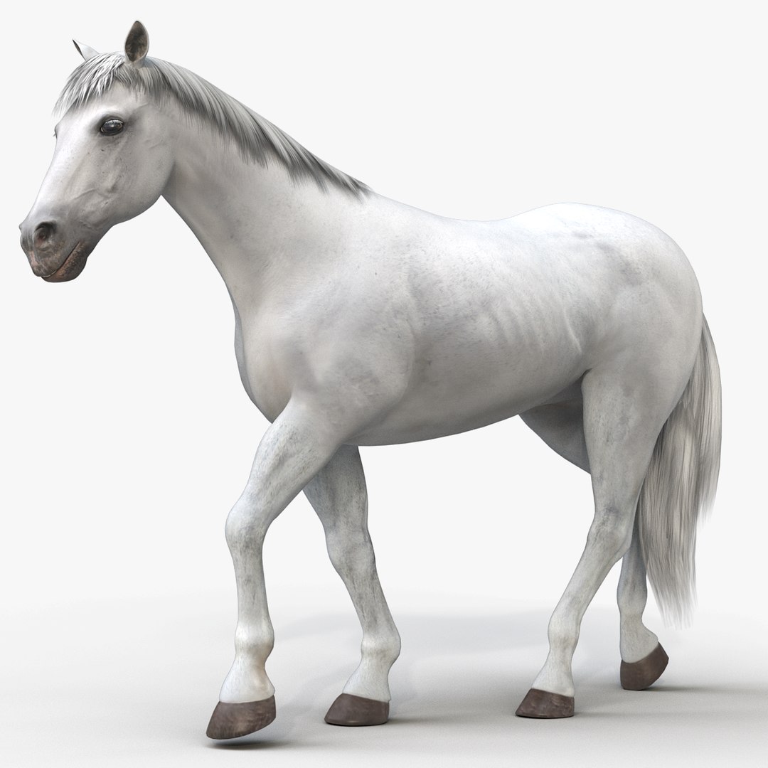 white horse animation