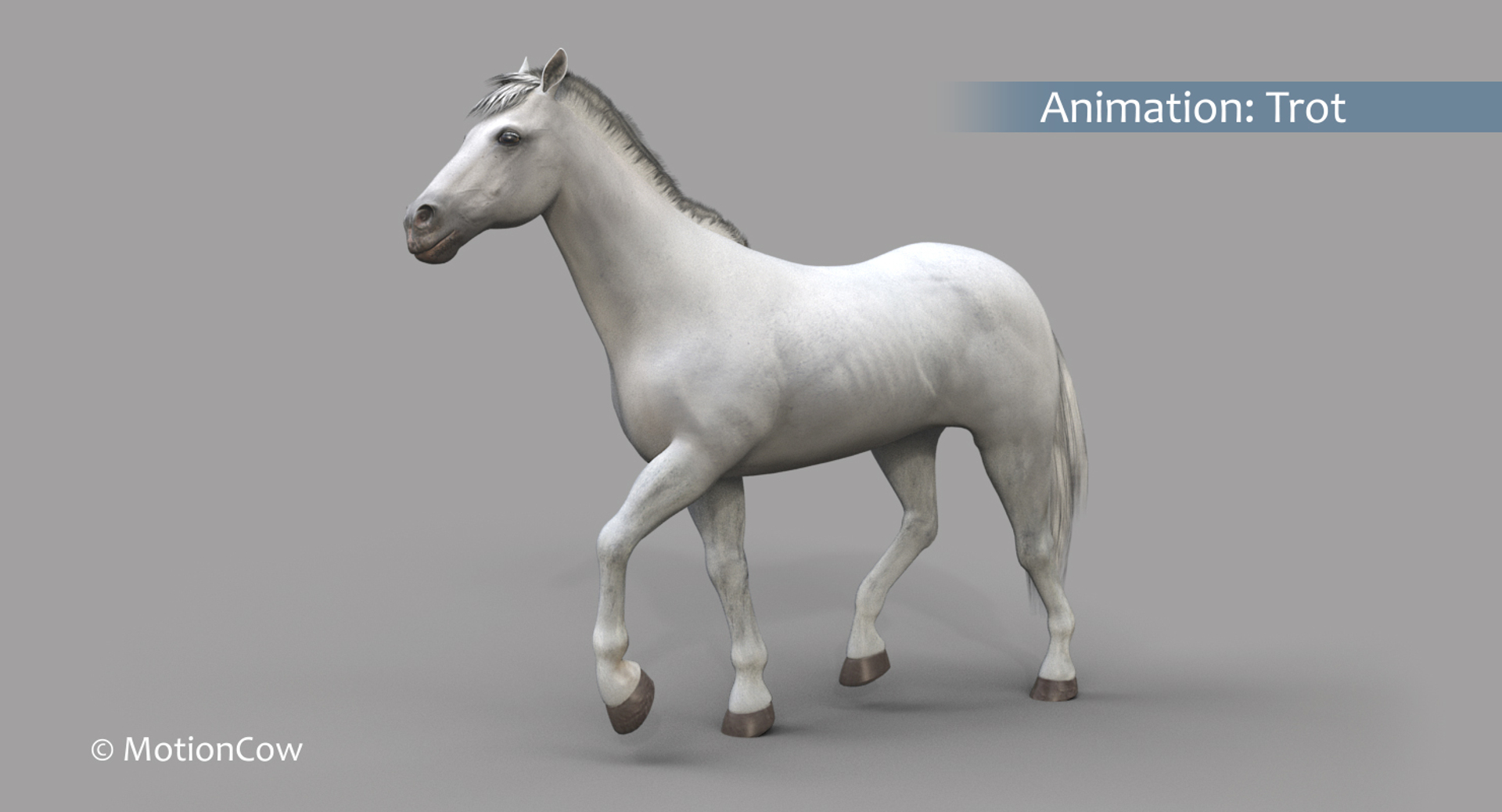 White horse animations 3D model - TurboSquid 1385853