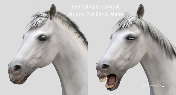 White horse animations 3D model - TurboSquid 1385853