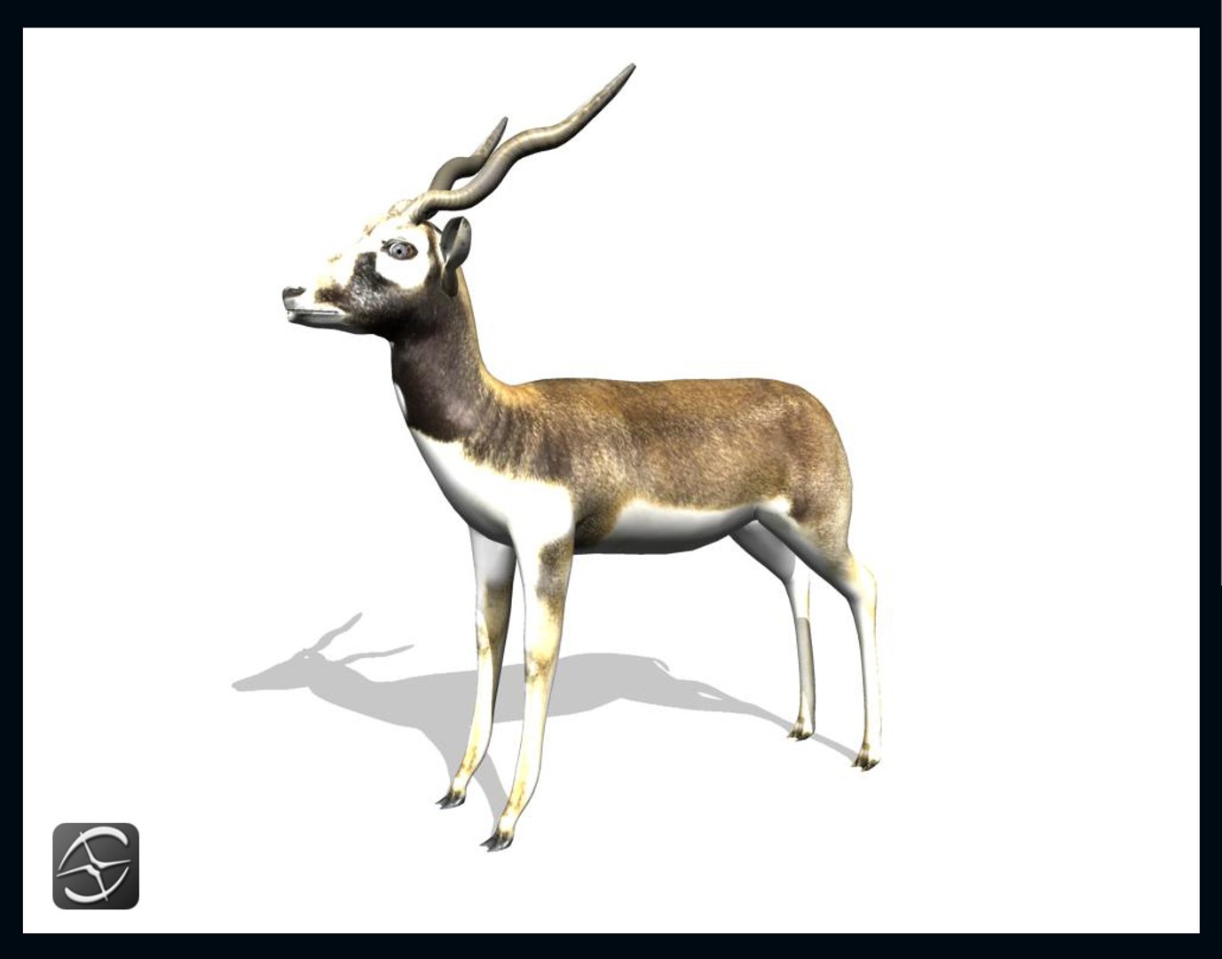 black buck 3d model