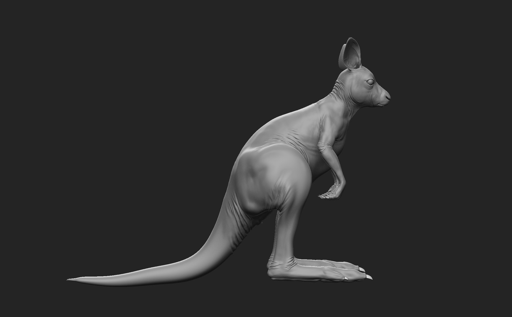 3D Kangaroo Family - TurboSquid 2153154