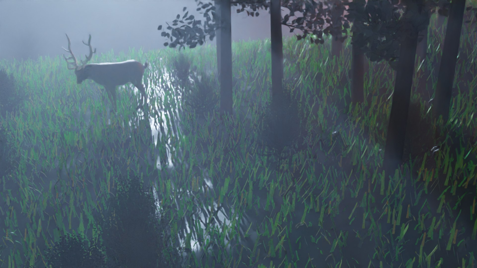 3d Model Of The Forest 3D Model - TurboSquid 1920648