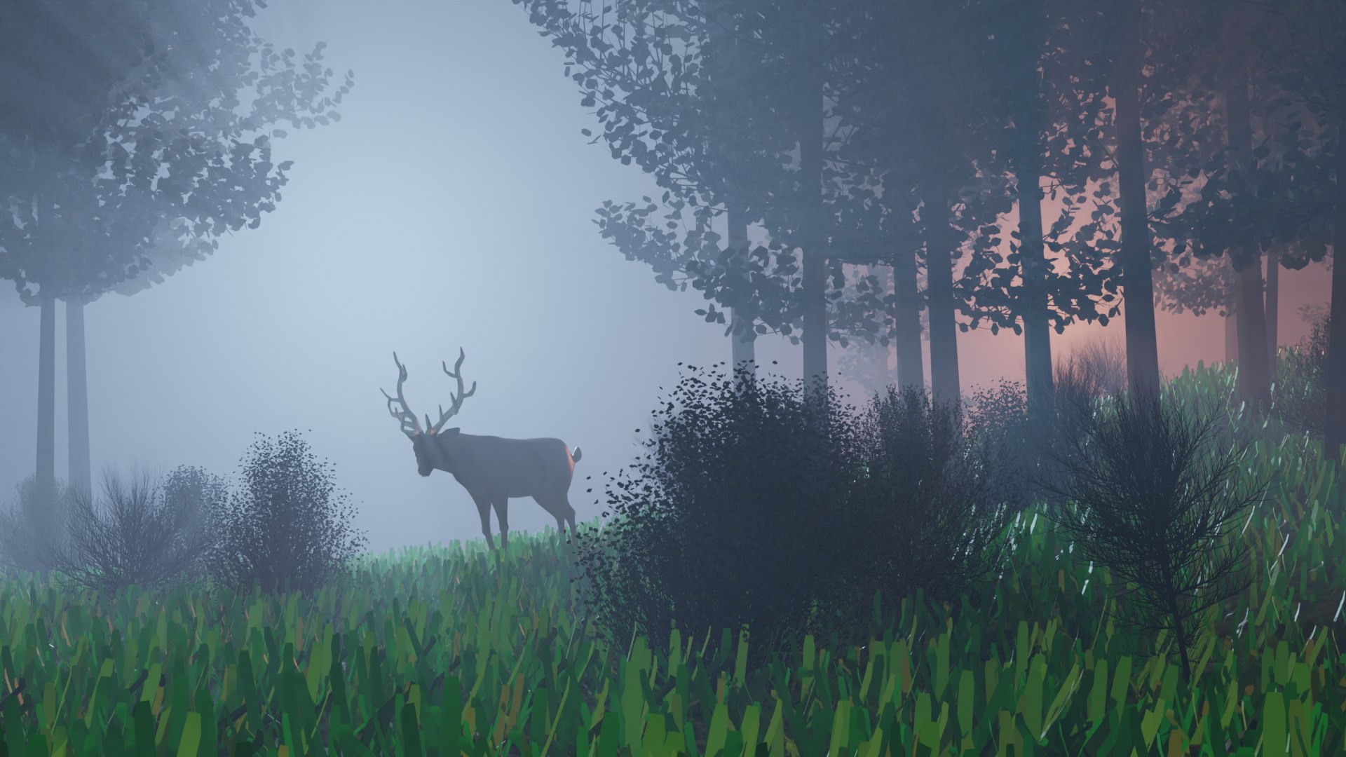 3d Model Of The Forest 3D Model - TurboSquid 1920648