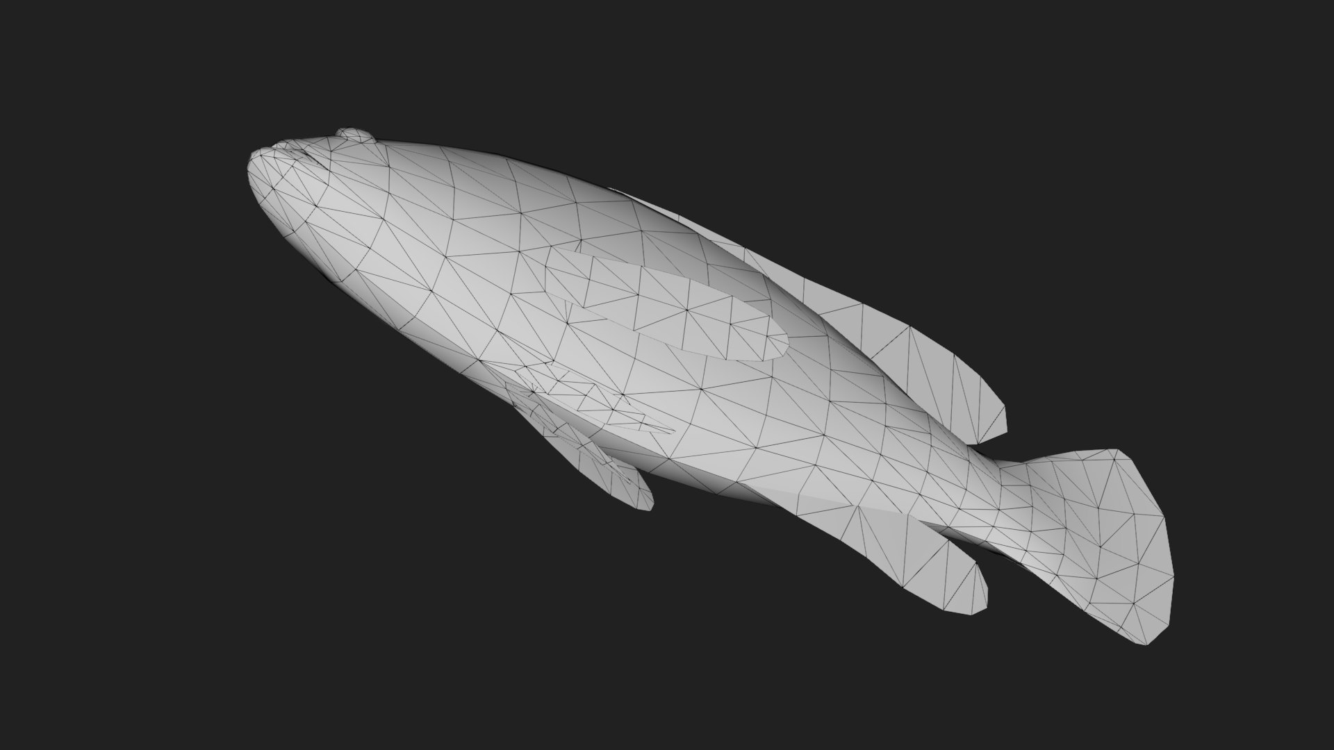 3D Grouper Model - TurboSquid 2119460