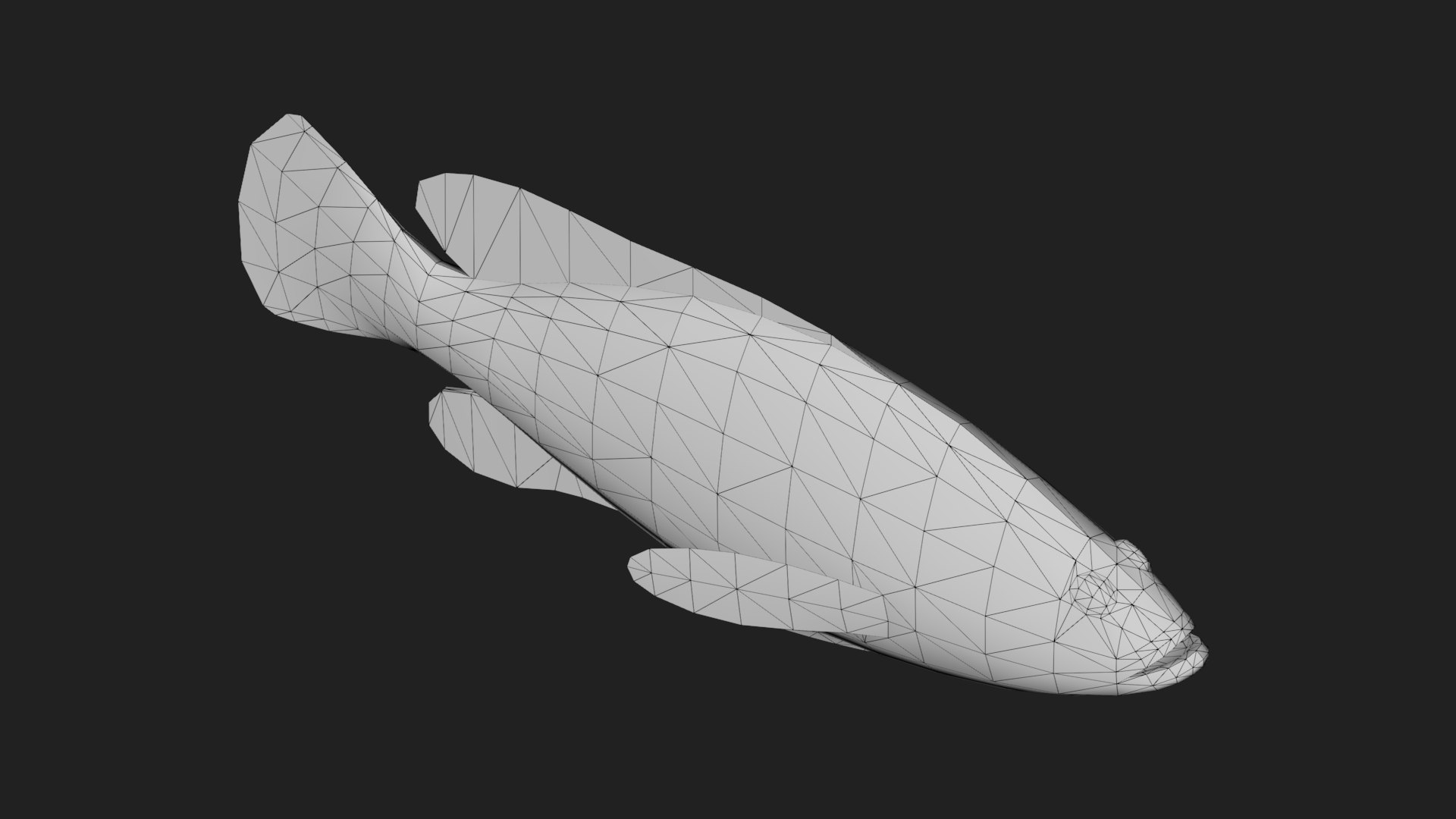 3D Grouper Model - TurboSquid 2119460