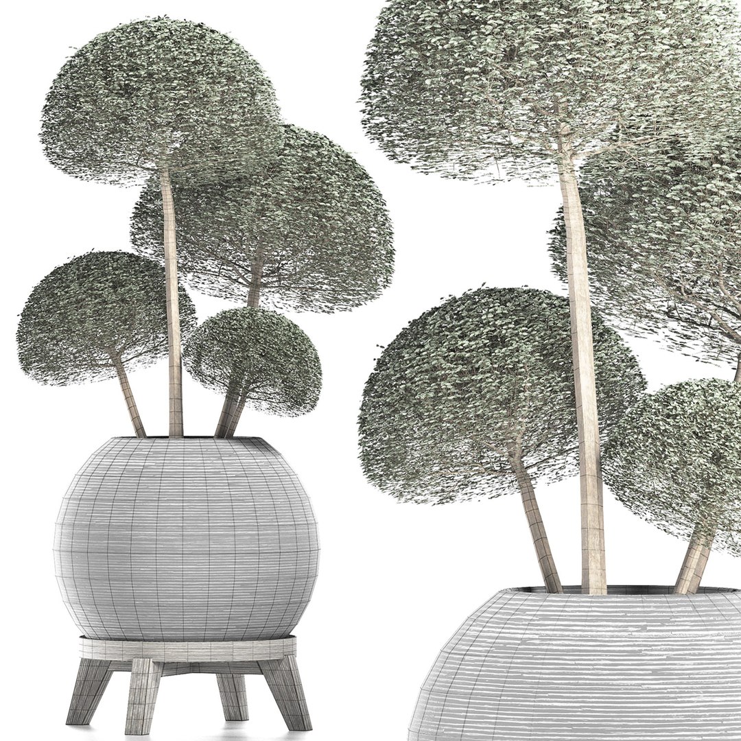 3D Corona Plants Tree - TurboSquid 1685061