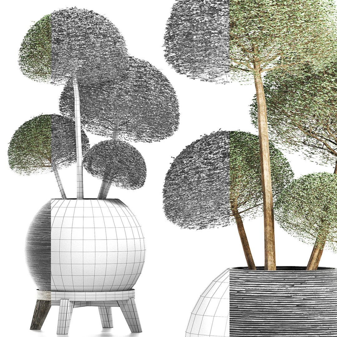 3D Corona Plants Tree - TurboSquid 1685061