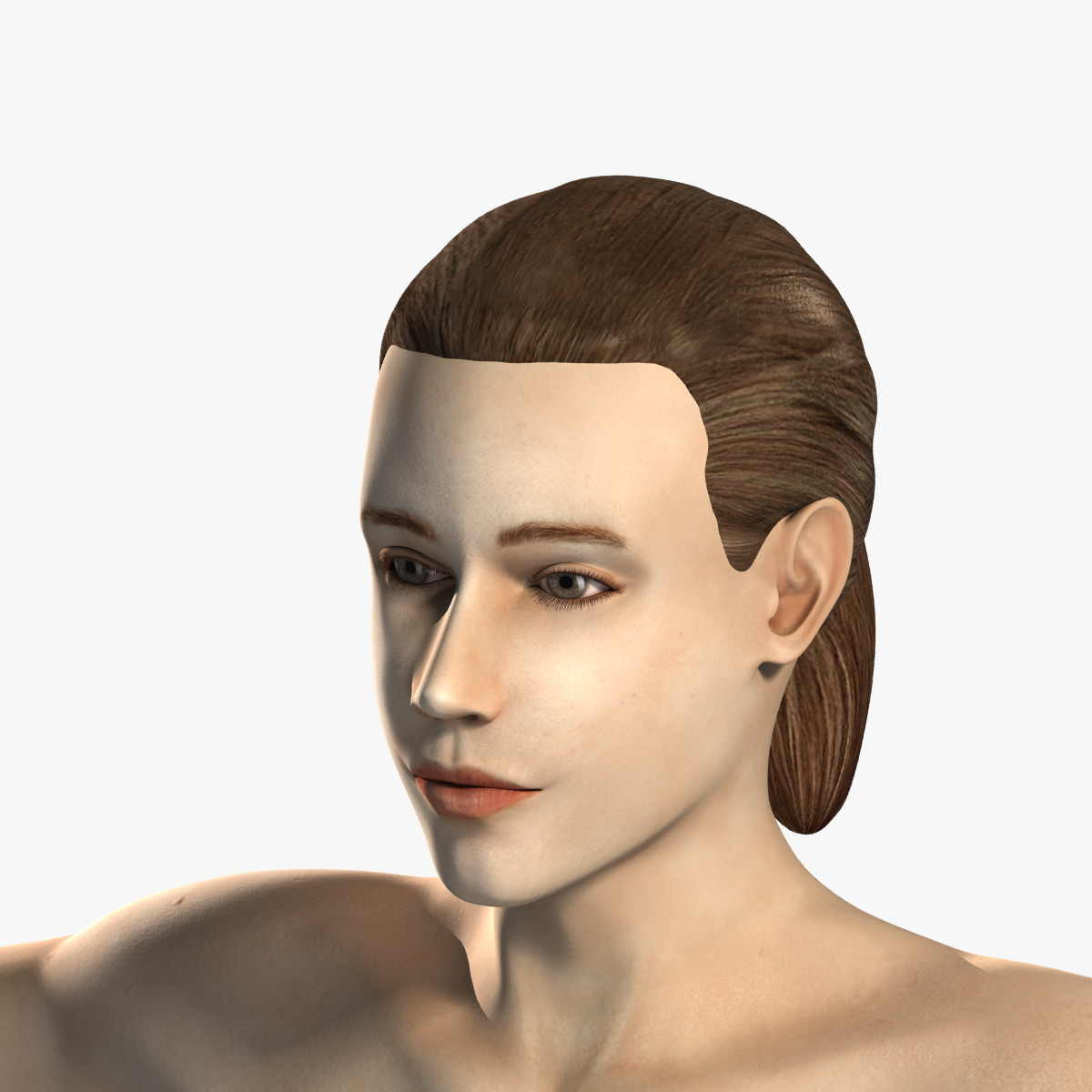 3d model of female body anatomy skin