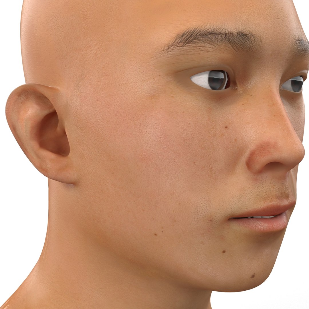 3D model asian male head rigged - TurboSquid 1496999