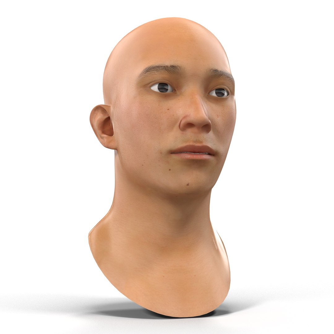 3D model asian male head rigged - TurboSquid 1496999