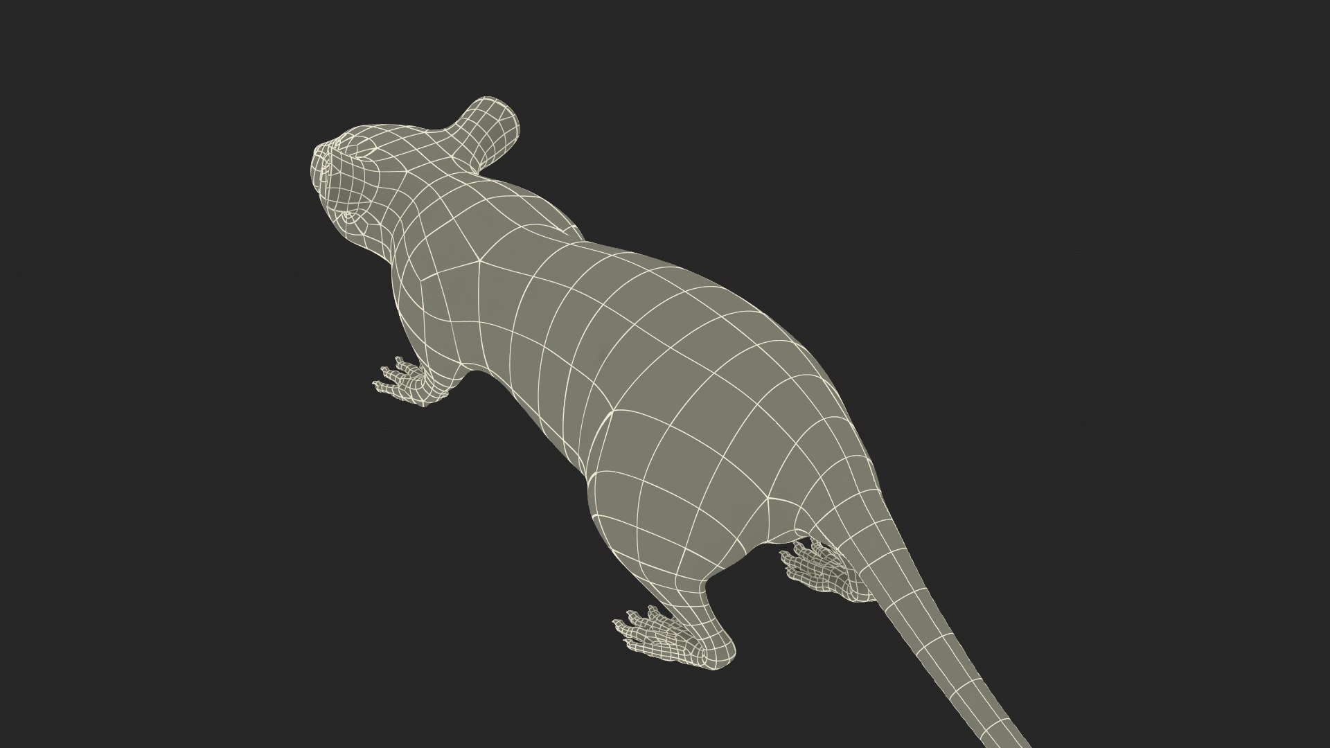 3D Common Rat With Fur For Maya - TurboSquid 2288124