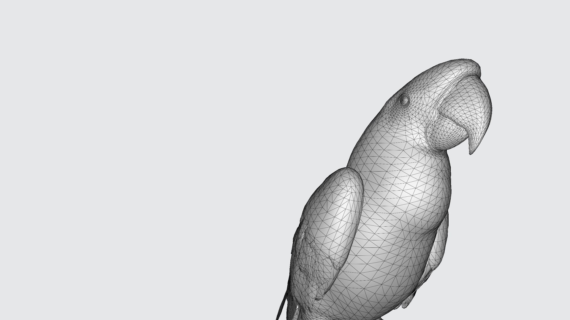 Parrot 3D Model - TurboSquid 2420967