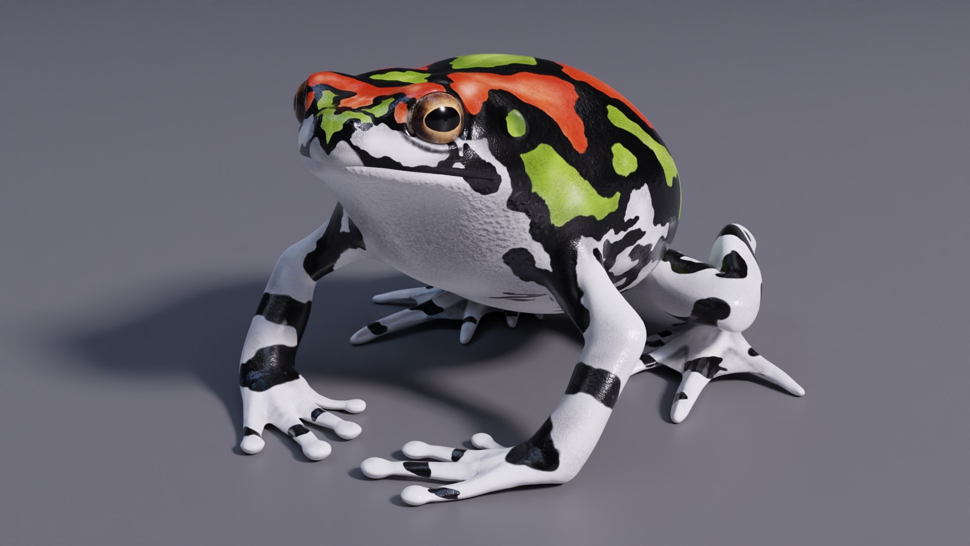 Animated Frogs Ultimate Volume 1 3D model - TurboSquid 1820405
