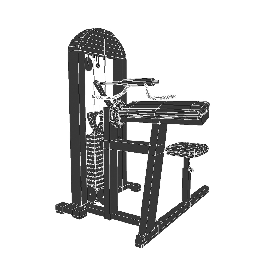 Bicep curling machine model - TurboSquid 1616429
