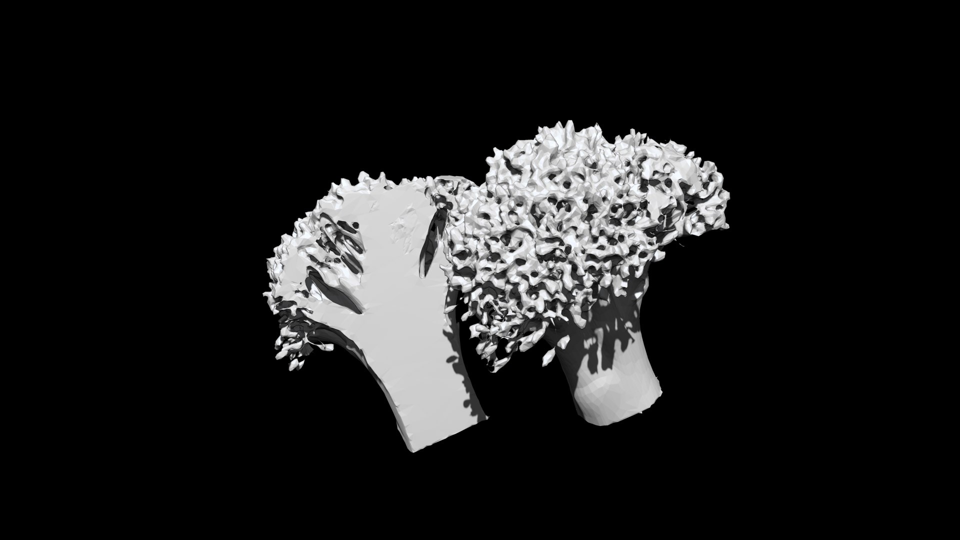 Broccoli Cut 3D CT Scan Model 7 Decimate 30percent 3D Model ...